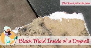 How to Remove Black Mold from Drywall – Cleanup & Tips
